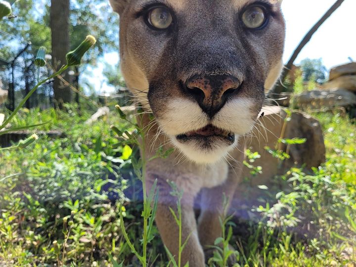 Marshfield Parks and Recreation Department Announces the Passing of ...